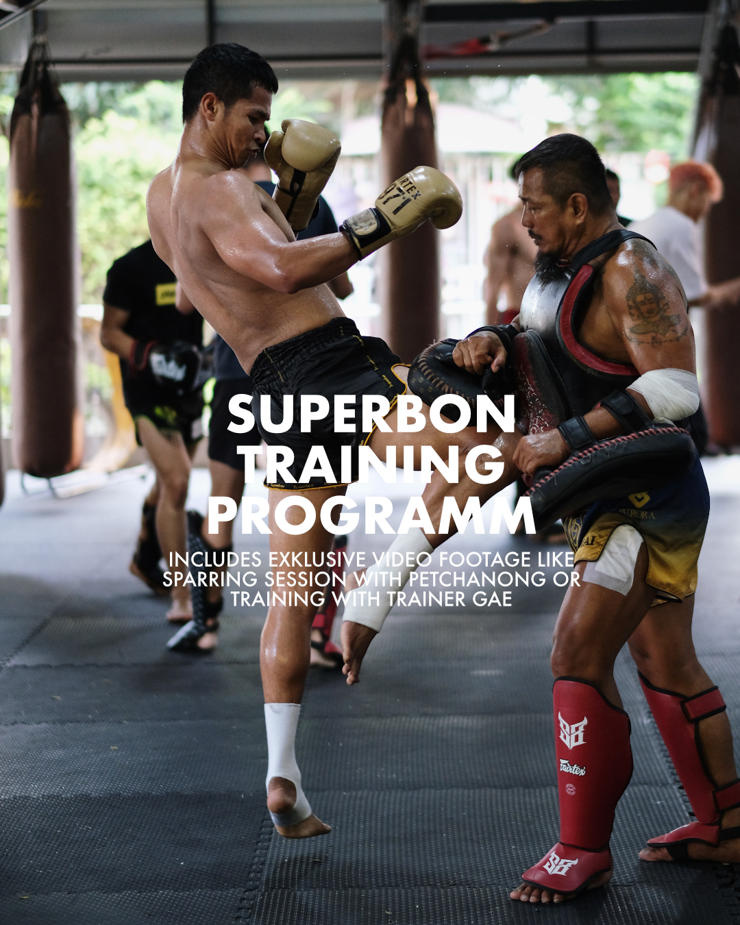 Buy SUPERBON TRAINING PROGRAM Superbon Muay thai equipment. Worldwide ...